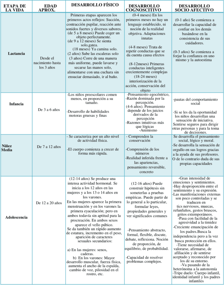 Cuadros comparativos de las Etapas del Desarrollo Humano | ⬇️ Descarga ...
